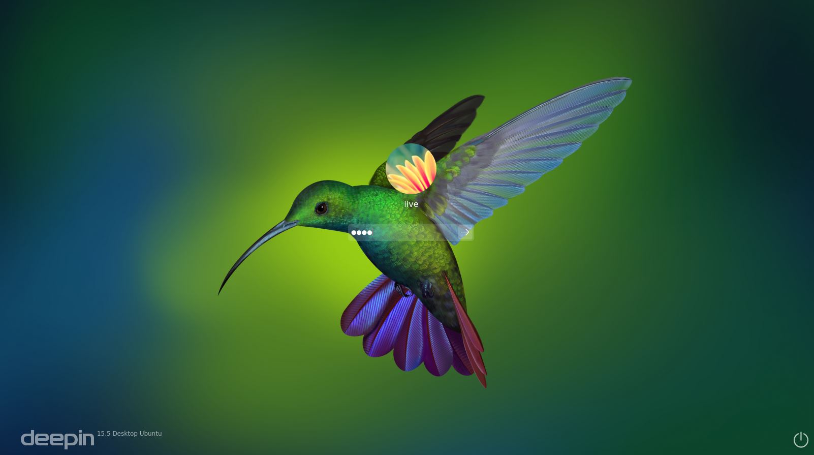 create your own live installable Ubuntu system with Deepin | Exton ... create your own live installable Ubuntu system with Deepin | Exton ...